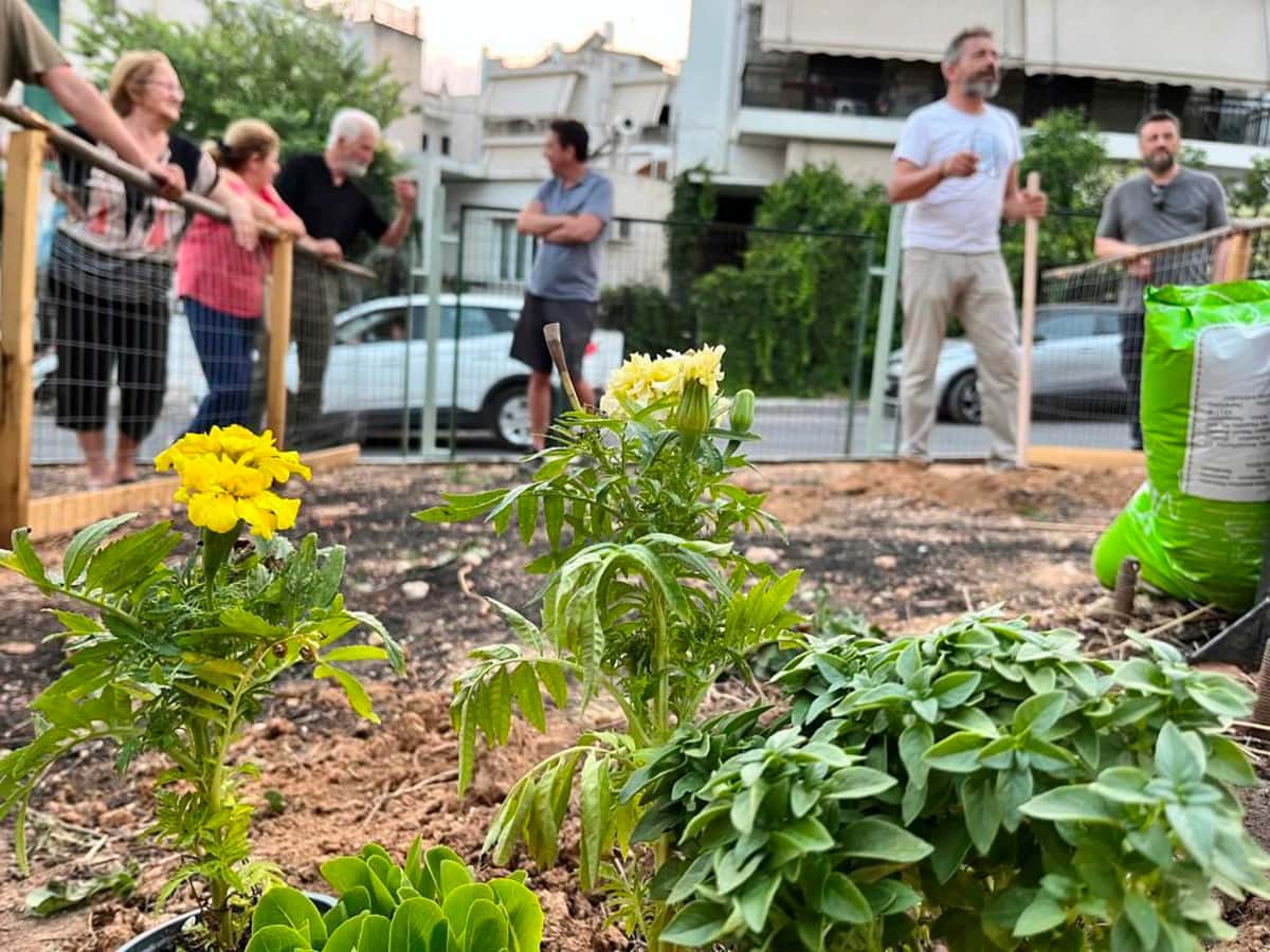 Λαχανόκηπος Στην Πετρούπολη Τροφοδοτεί Οικογένειες Και Εκπαιδεύει Μαθητές